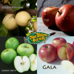 Bob Wells Nursery | Grow Your Own Food | U.S. Shipping Available