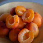 Blenheim Apricot Tree - Bob Wells Nursery - U.S. Shipping