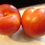 Bruce Plum Tree - Bob Wells Nursery - U.S. Shipping