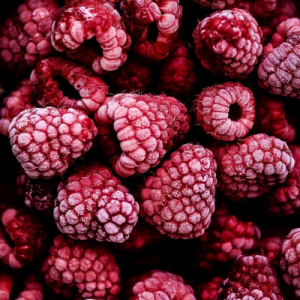 Bababerry Red Raspberry Plant - Bob Wells Nursery