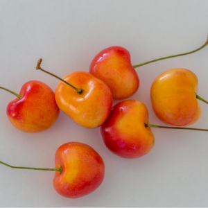 Royal Rainier Cherry Tree - Bob Wells Nursery - U.S. Shipping