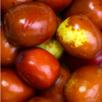 Shanxi Li Jujube Tree - Bob Wells Nursery - U.S. Shipping