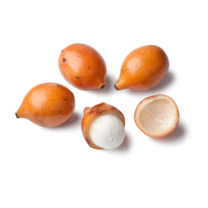 Achacha Tree - Available at Bob Wells Nursery