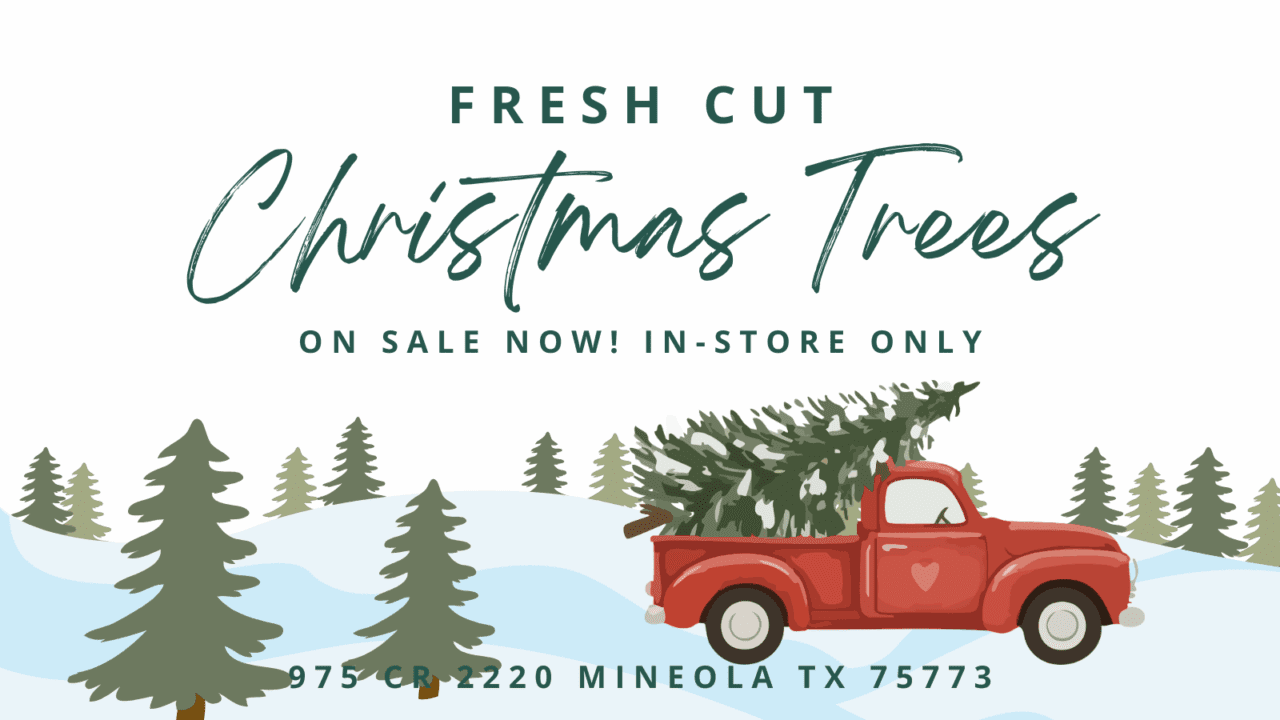 Bob Wells Nursery - Grow Your Own Food - U.S. Shipping